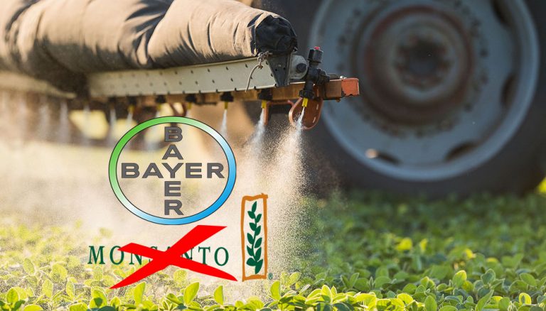Bayer Announces Plans to Shed the Monsanto Name — But Will the New ...