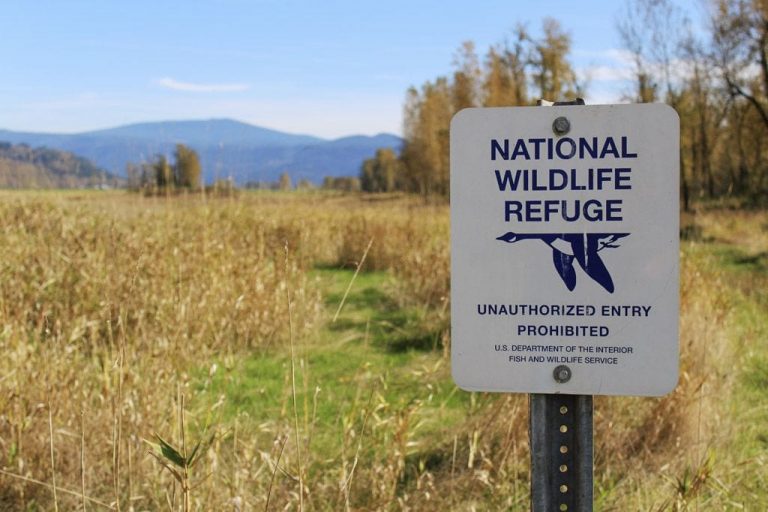 USFWS | Hygeia Analytics