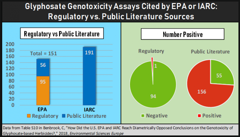 2019 Paper on Glyphosate Genotoxicity | Hygeia Analytics