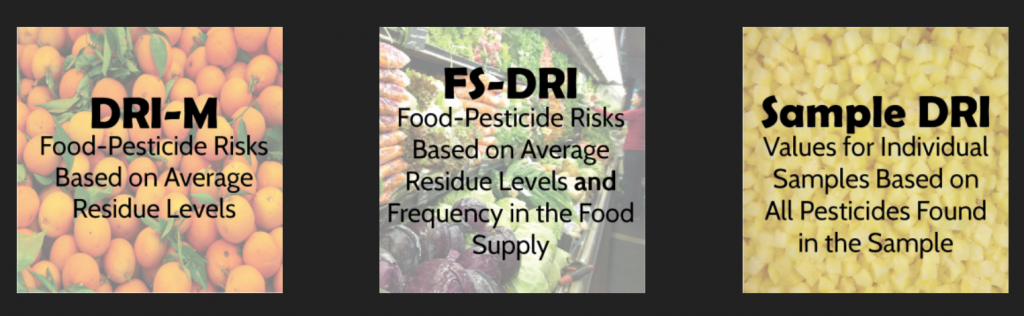 2020 Dietary Risk Index Paper in “Environmental Health” | Hygeia Analytics